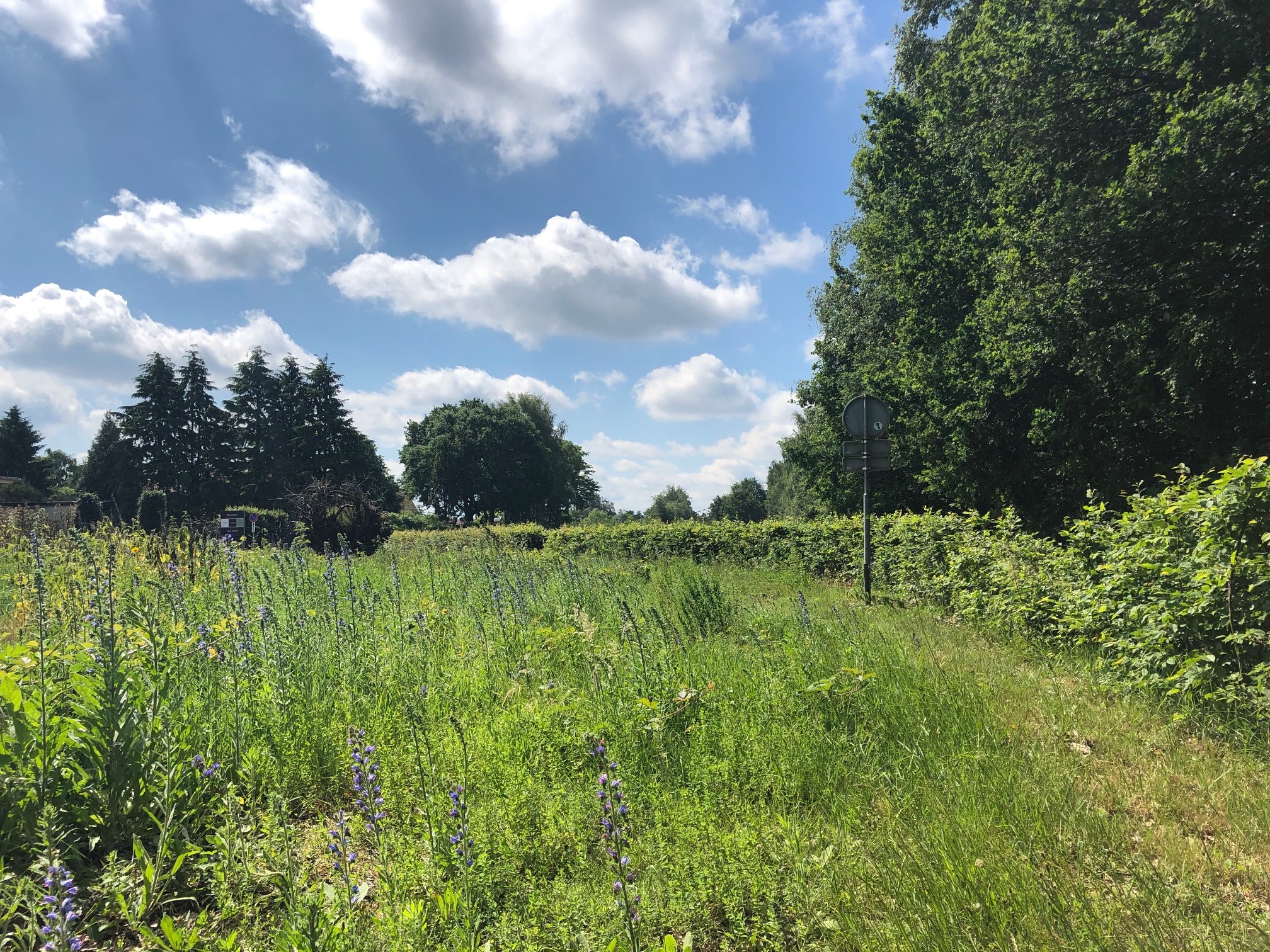 Jobs at Gemeente Baarle-Nassau | Jobs | Magnet.me (en)